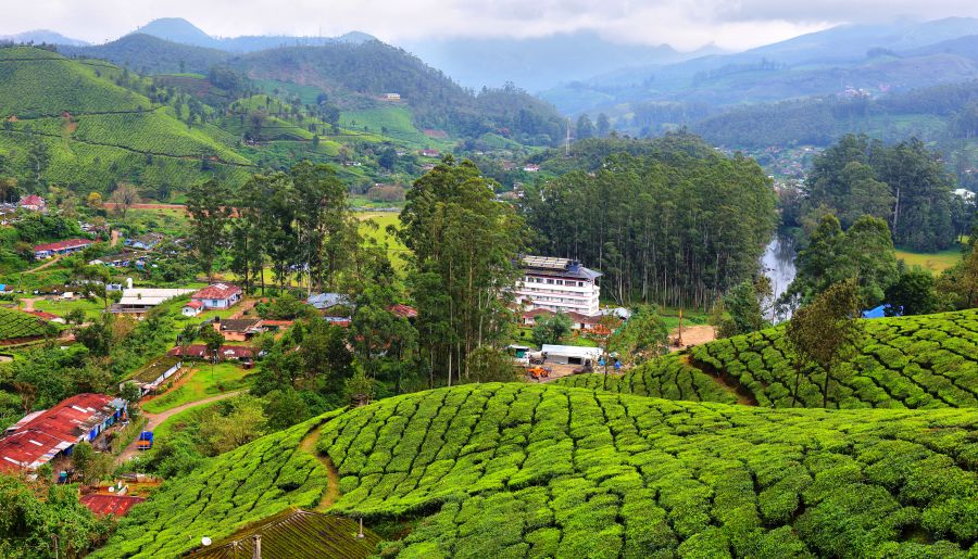 Top 10 Best Places to Visit in Kerala: Munnar, Alleppey, Kochi & More ...